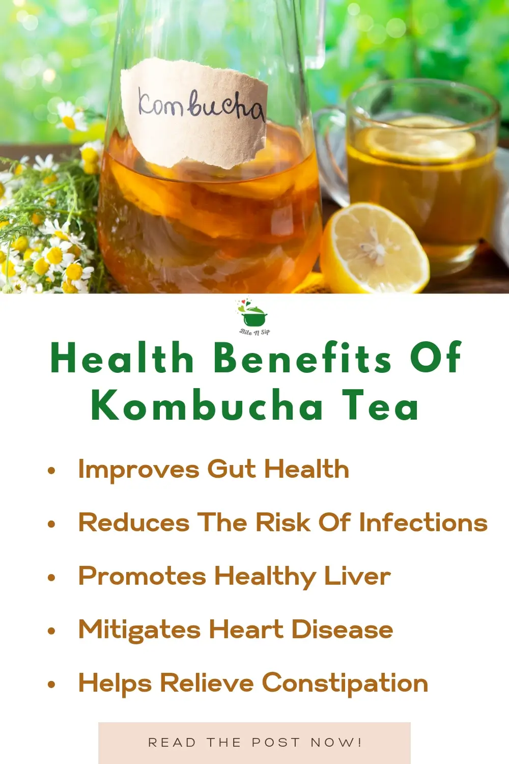 Fizzy Kombucha Tea & Their Potential Benefits - Bite N Sip