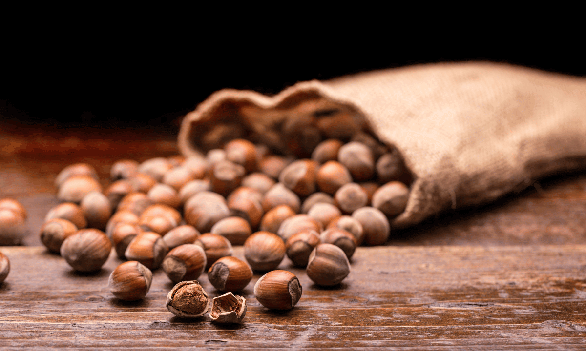Top 10 Most Expensive Dry Fruits in the World | Bite N Sip