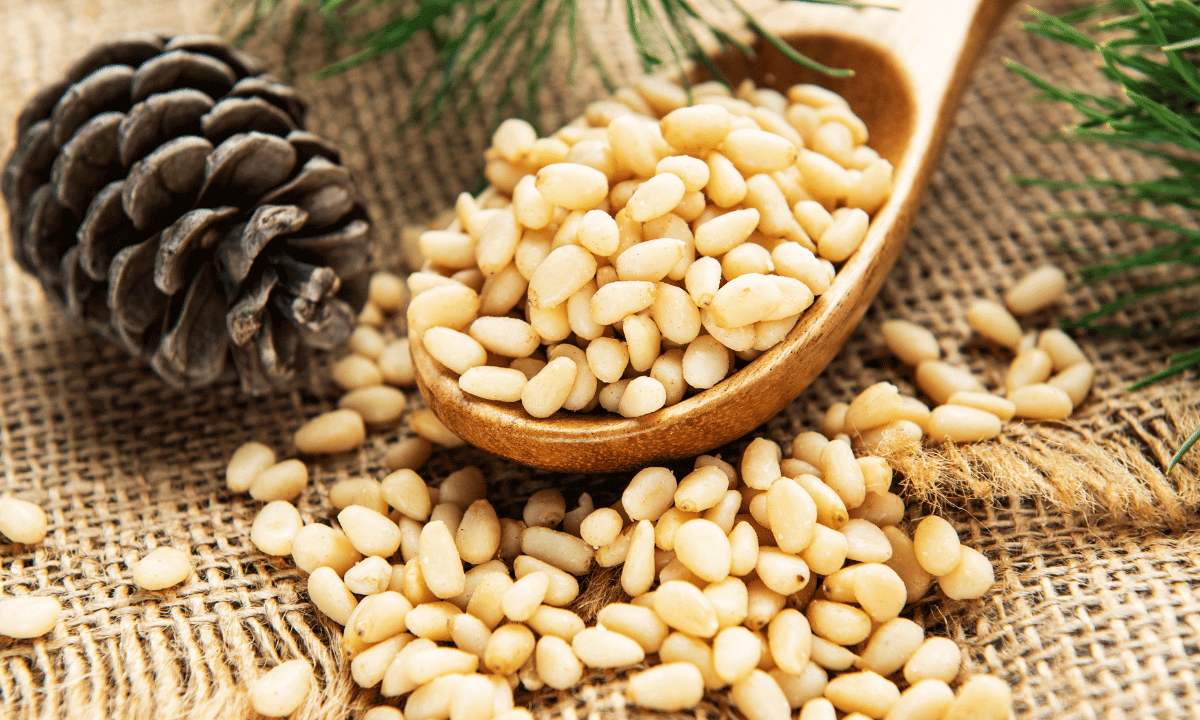 Top 10 Most Expensive Dry Fruits in the World | Bite N Sip